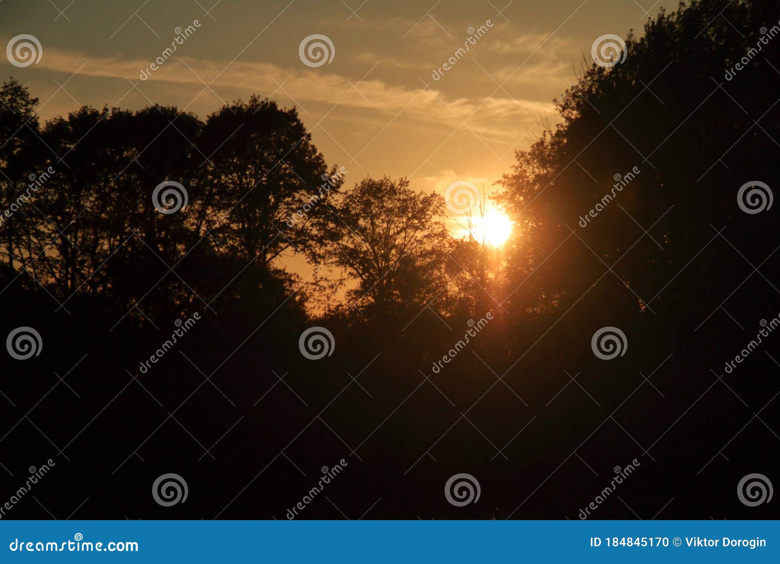 Beautiful Sunset Over the Trees Stock Photo - Image of tree, outdoor ...