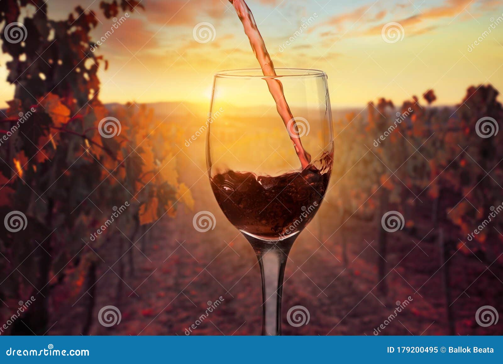 Beautiful Sunset Over Vineyards with Glass of Wine Stock Image - Image ...