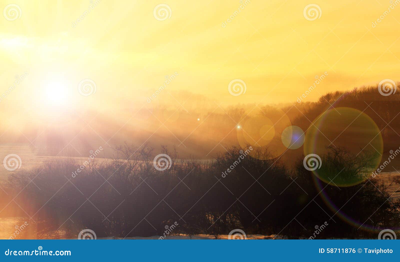 Beautiful Sunset Over the Woods Stock Photo - Image of illuminated ...