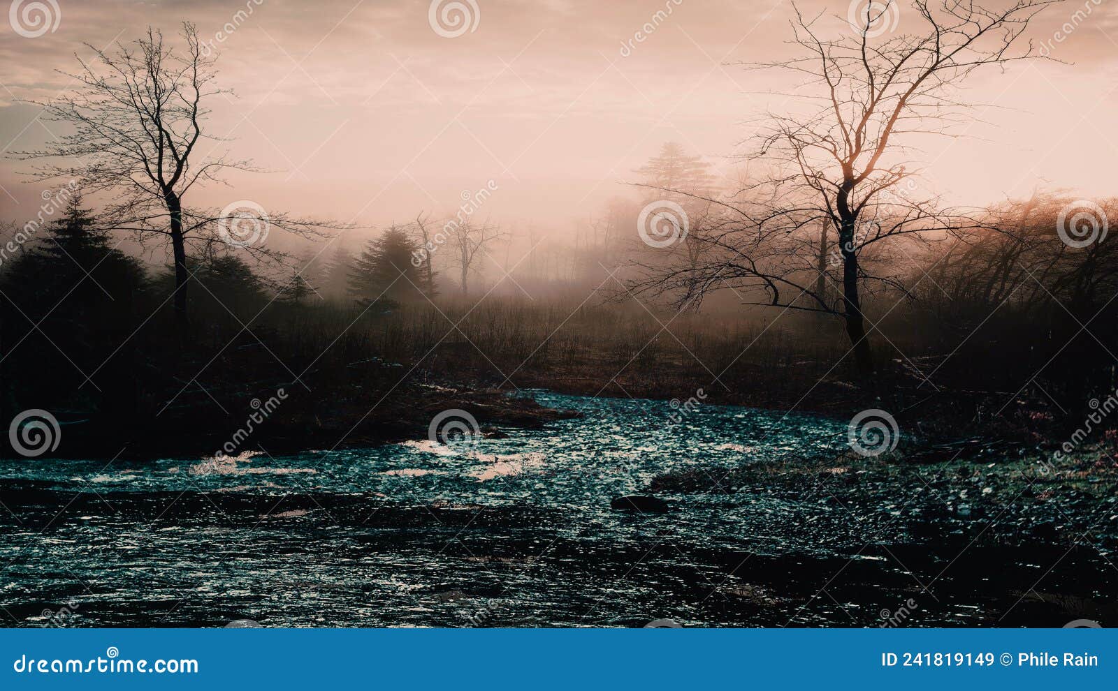 Beautiful Sunset Picture in the Rainforest, Beautiful Nature Landscape ...