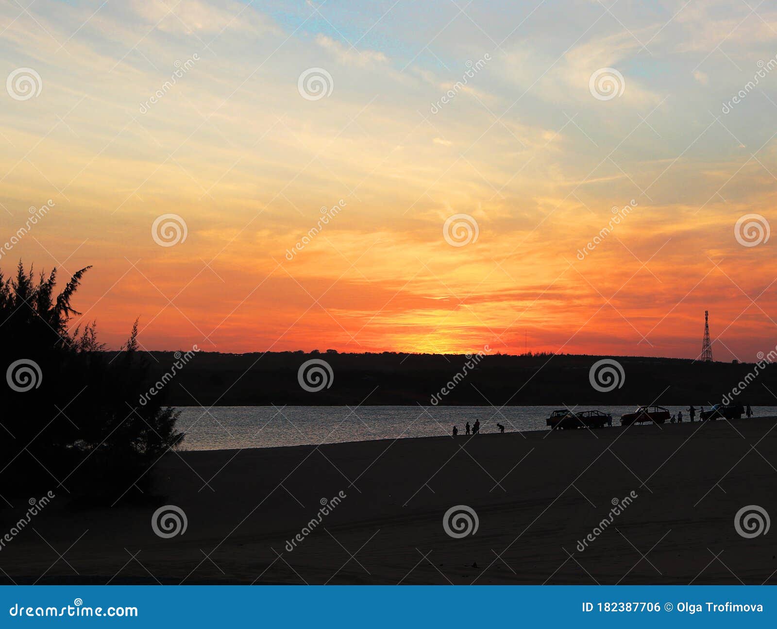 Beautiful sunset on a pond stock photo. Image of bush - 182387706