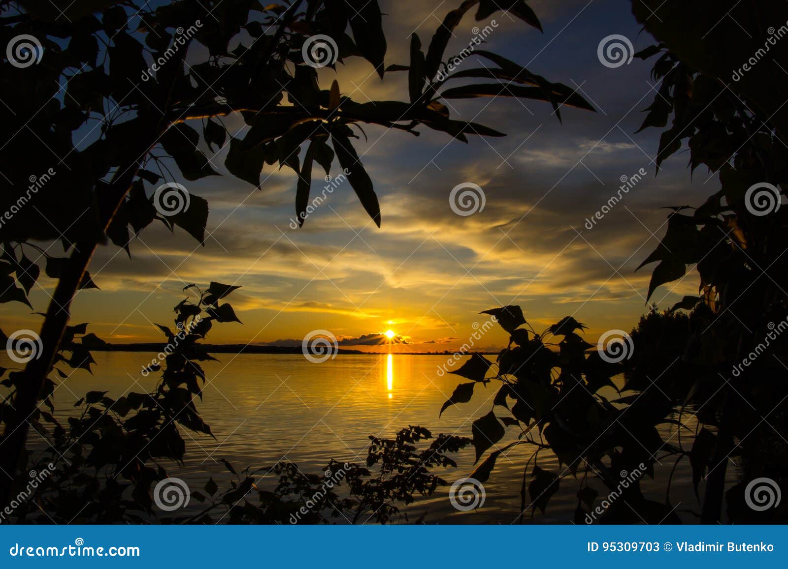 Beautiful Sunset on the Pond. Stock Image - Image of forest, beauty ...