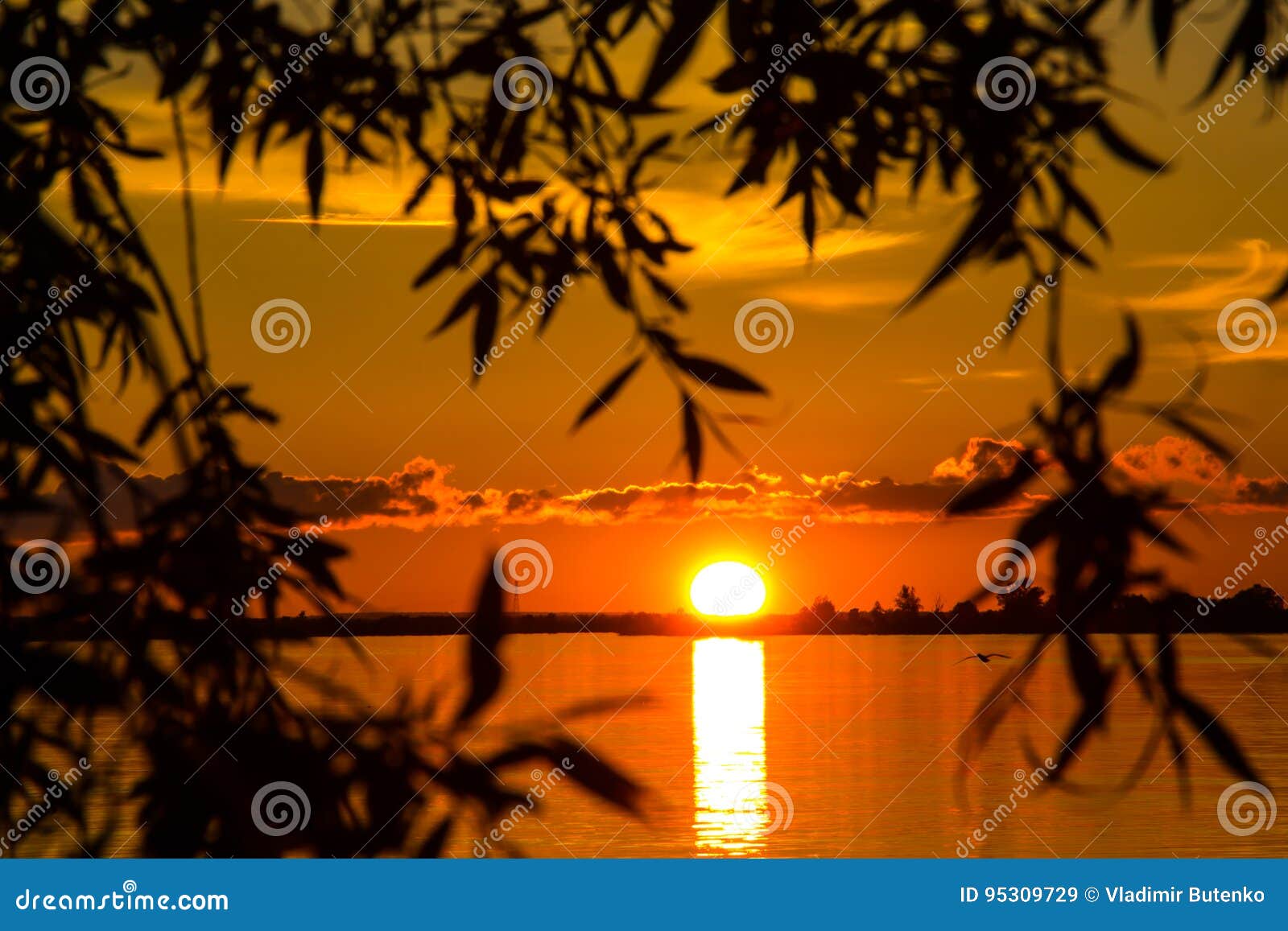 Beautiful Sunset on the Pond. Stock Image - Image of bright, norway ...
