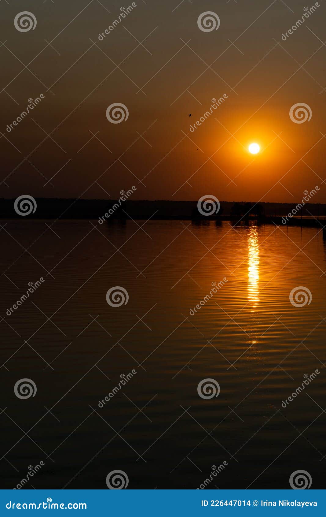 Beautiful Sunset on the River Stock Photo - Image of view, river: 226447014