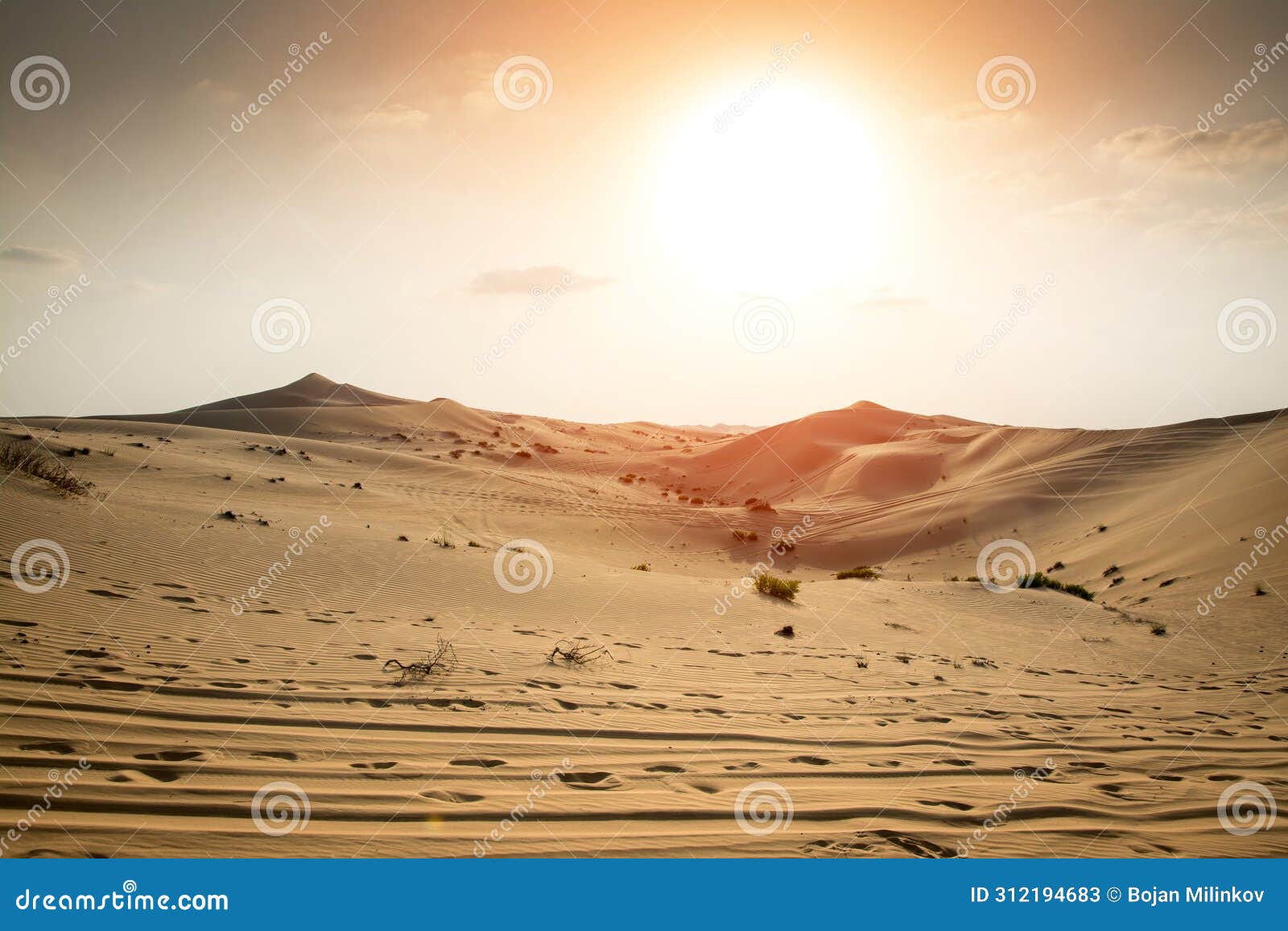 Beautiful Sunset in the Sahara Desert. Sand Dunes at Sunset Stock Image ...
