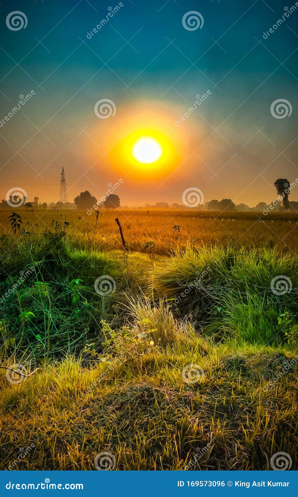 A Beautiful Sunset Scene from a Farm. Stock Photo - Image of nature ...