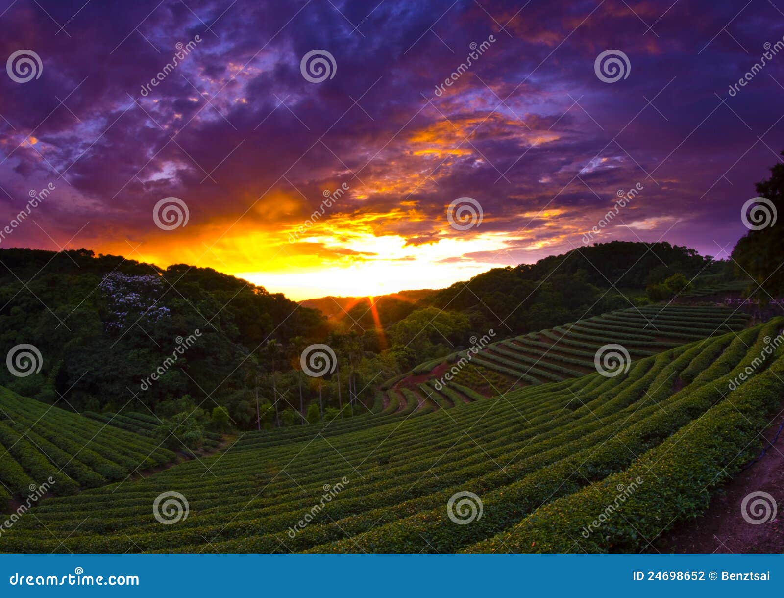 Beautiful Sunset Scenes with Sun Rays Stock Photo - Image of close ...