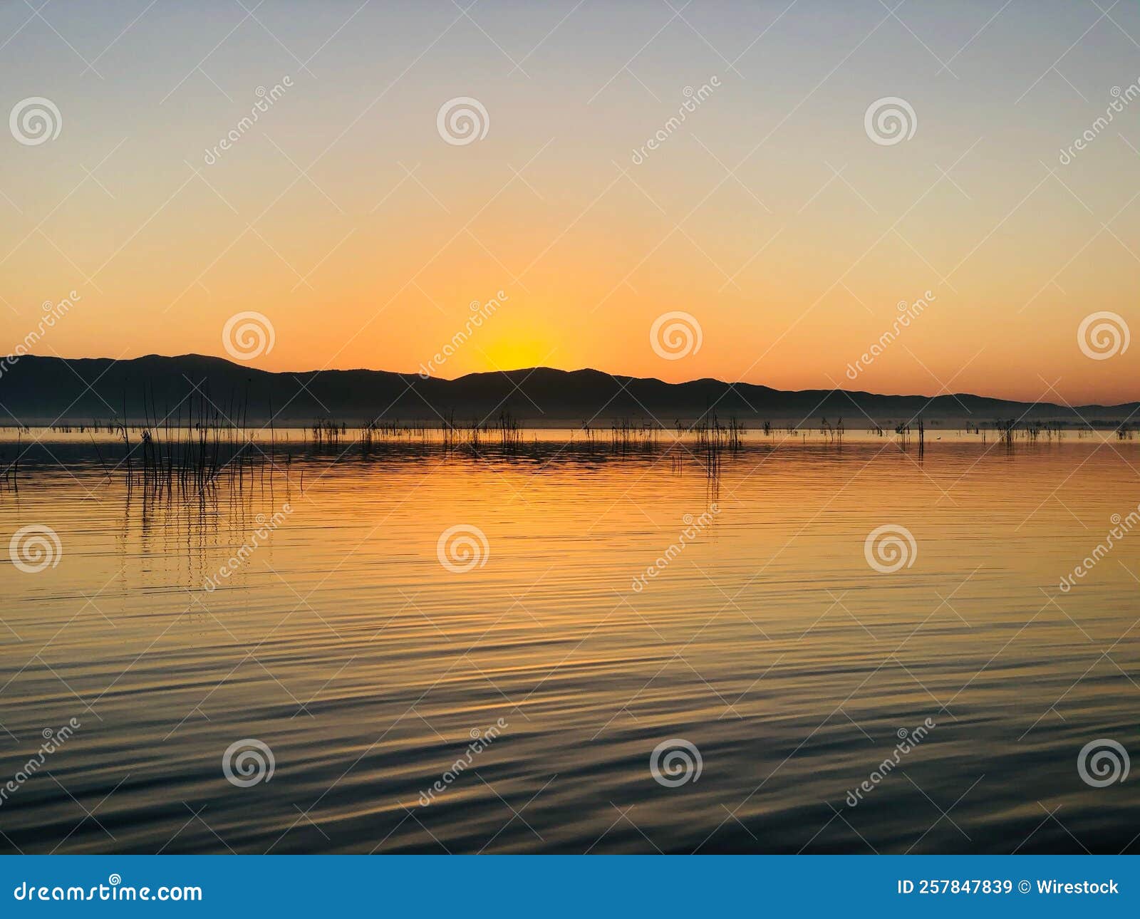 Beautiful Sunset at the Sea Coast Stock Image - Image of summer, travel ...