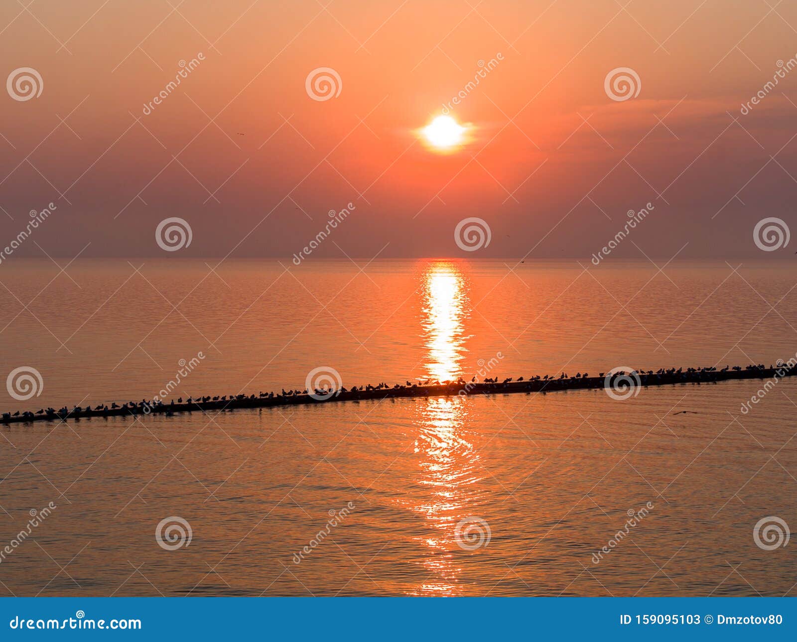 Seagulls are Sitting on the Breakwater, a Beautiful Pink Sunset Over ...