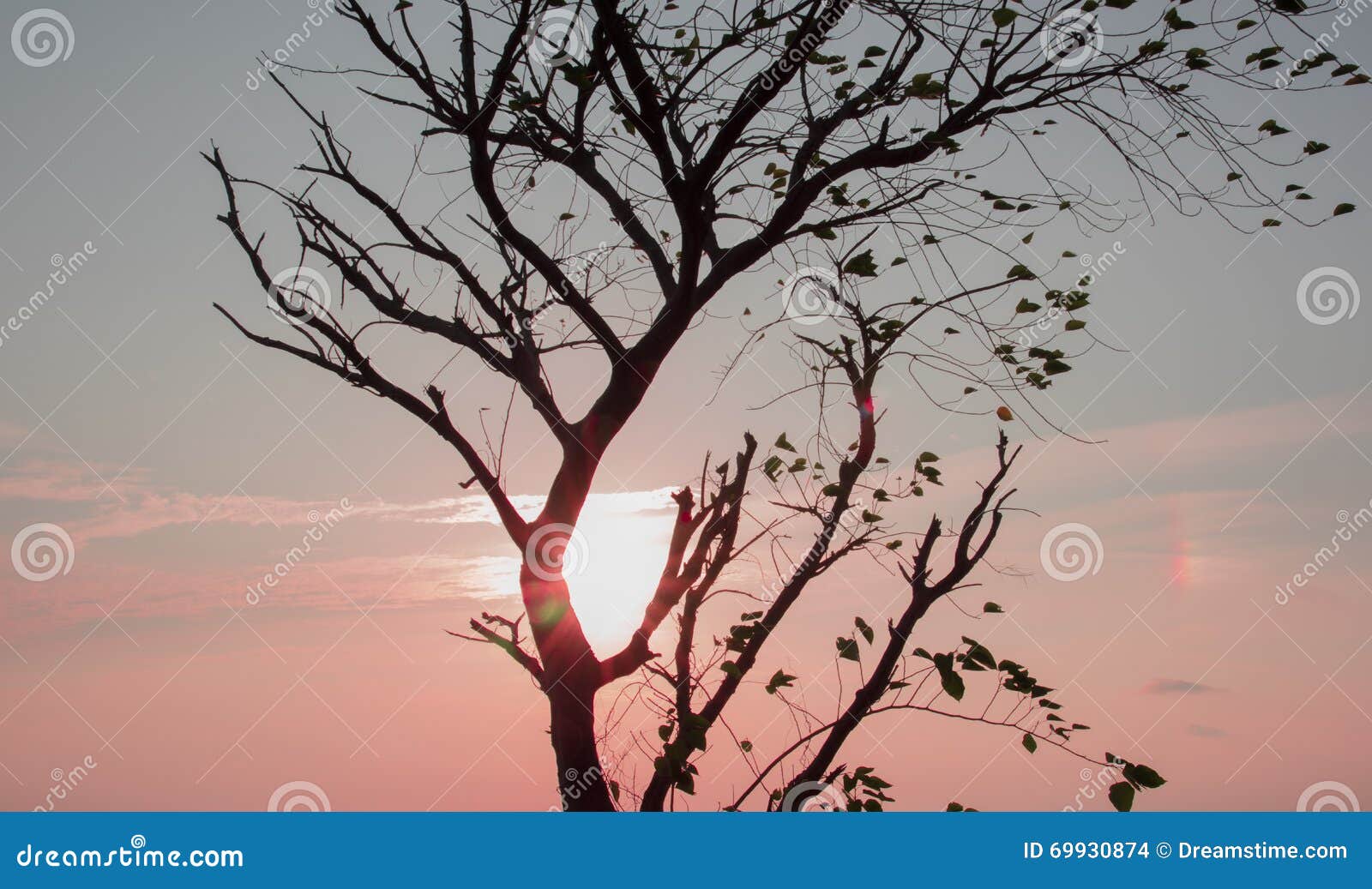 Beautiful sunset stock photo. Image of beauty, beautiful - 69930874