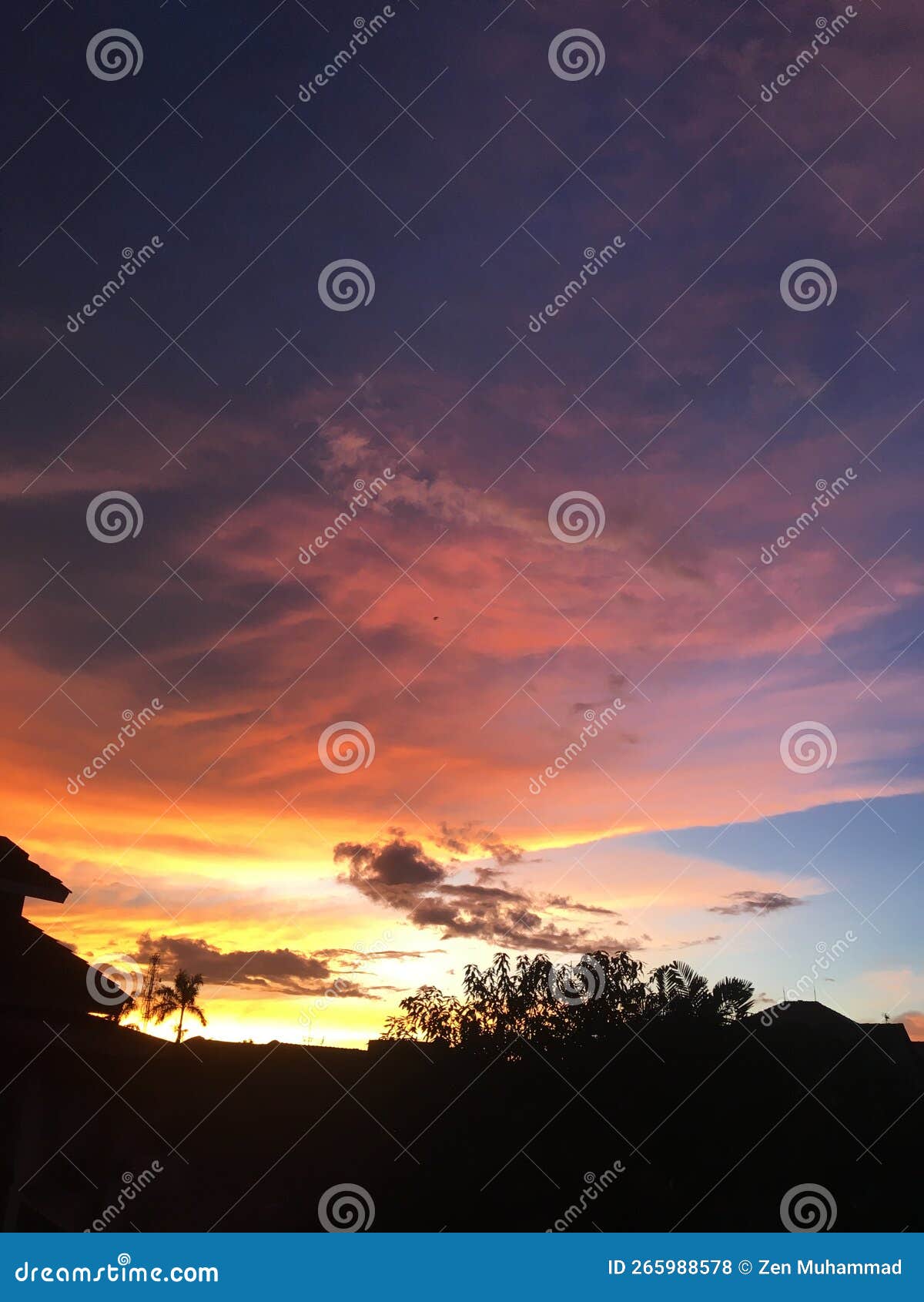 Beautiful sunset shine stock photo. Image of fire, quail - 265988578