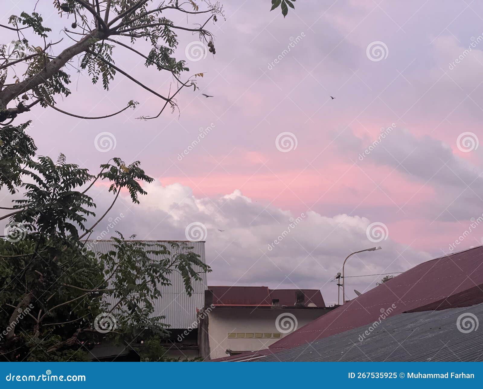 Beautiful sunset sky stock image. Image of cloud, sunset - 267535925