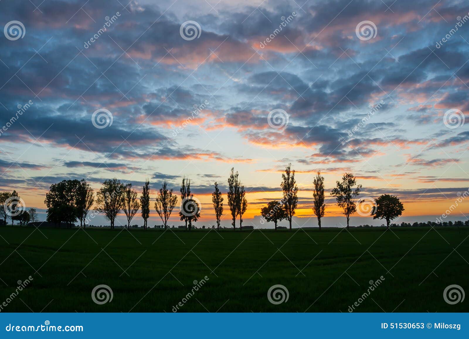 Beautiful Sunset Sky Over Trees Stock Image - Image of traditional ...