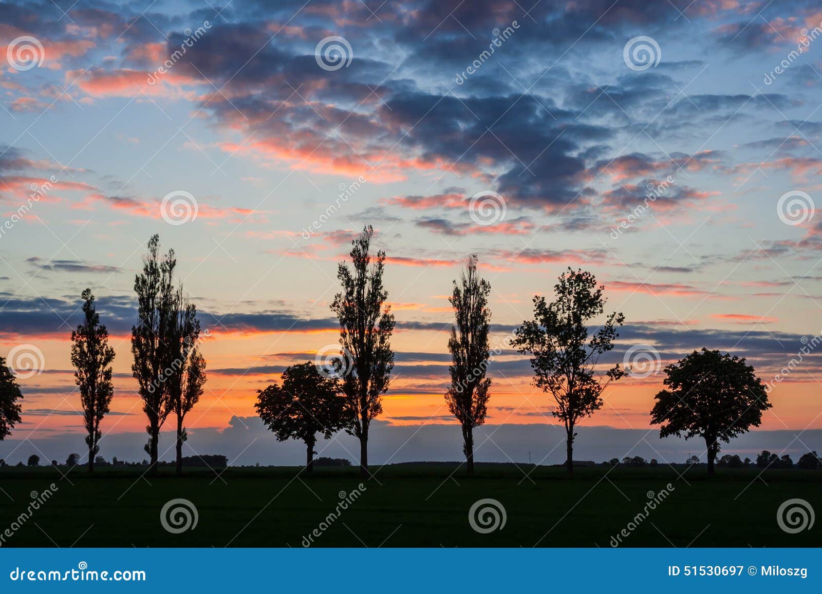 Beautiful Sunset Sky Over Trees Stock Image - Image of field, landscape ...