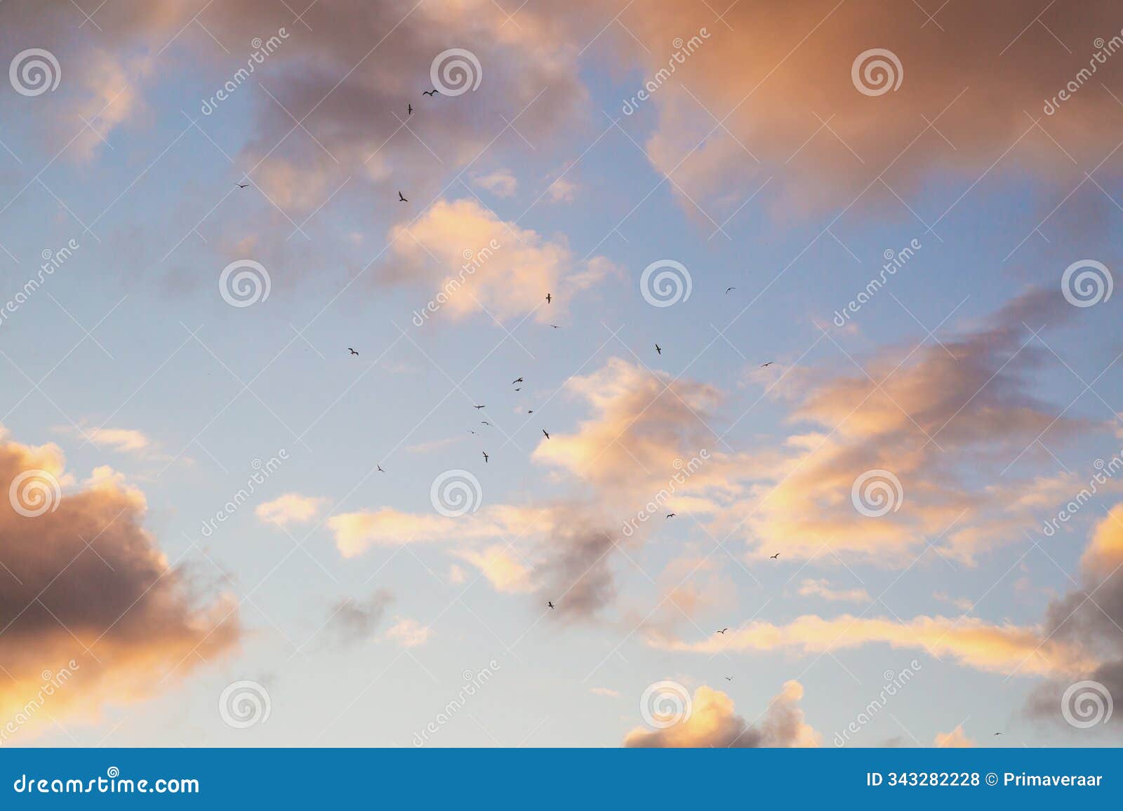 Beautiful Sunset Sky, Pink Orange Clouds and Many Birds Stock Photo - Image of bright, blue ...