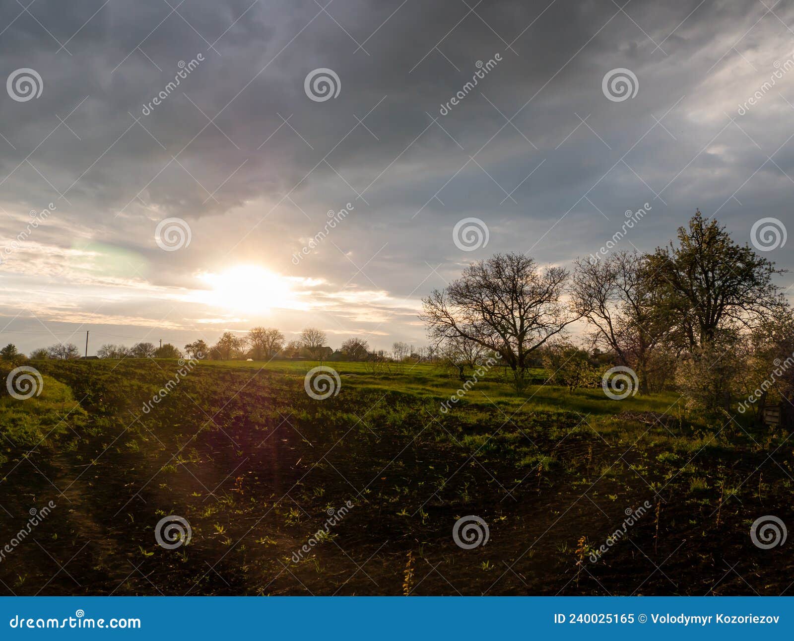 Beautiful Sunset and Tree in the Village Stock Image - Image of plant ...