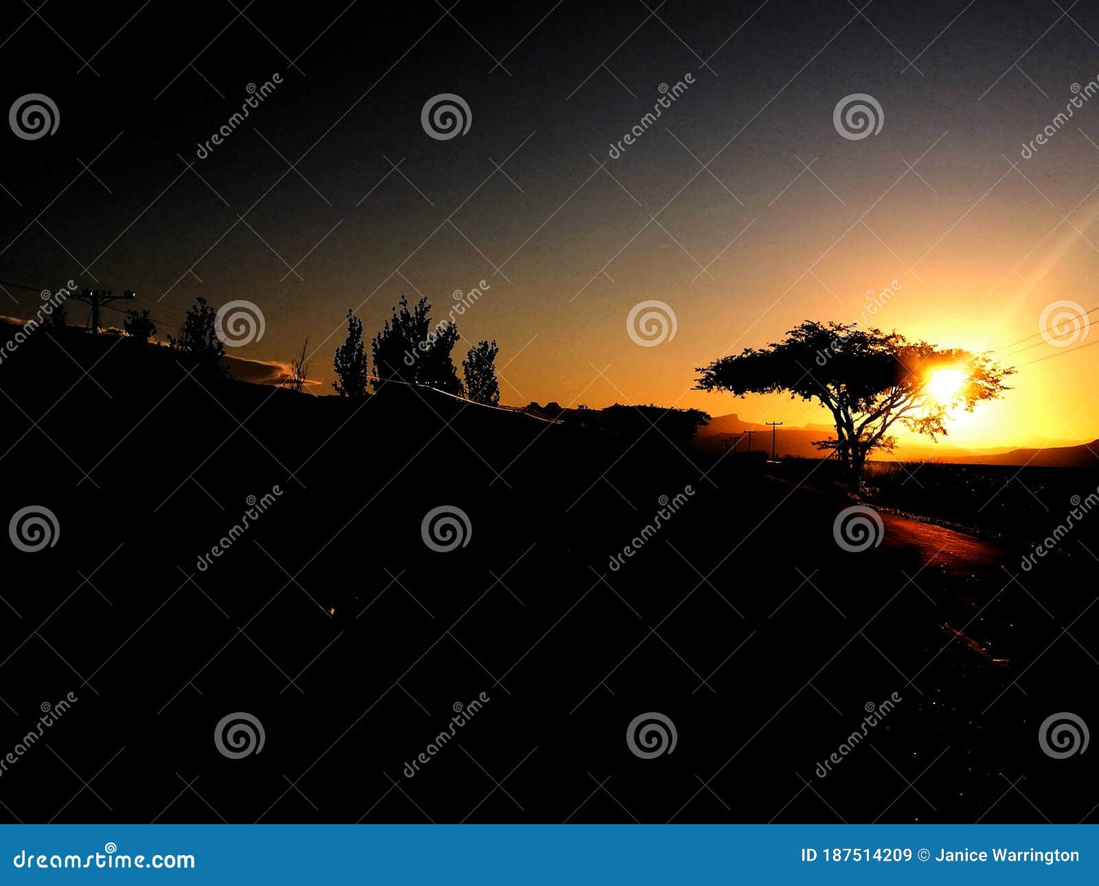 Beautiful Sunset and trees stock image. Image of tree - 187514209