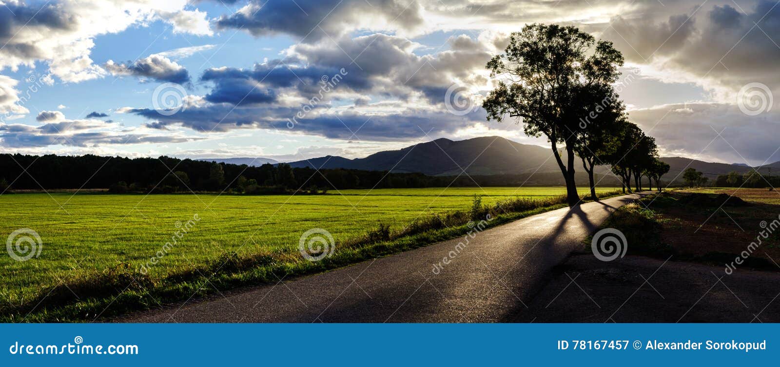 Alsacien Fields Stock Photos - Free & Royalty-Free Stock Photos from ...
