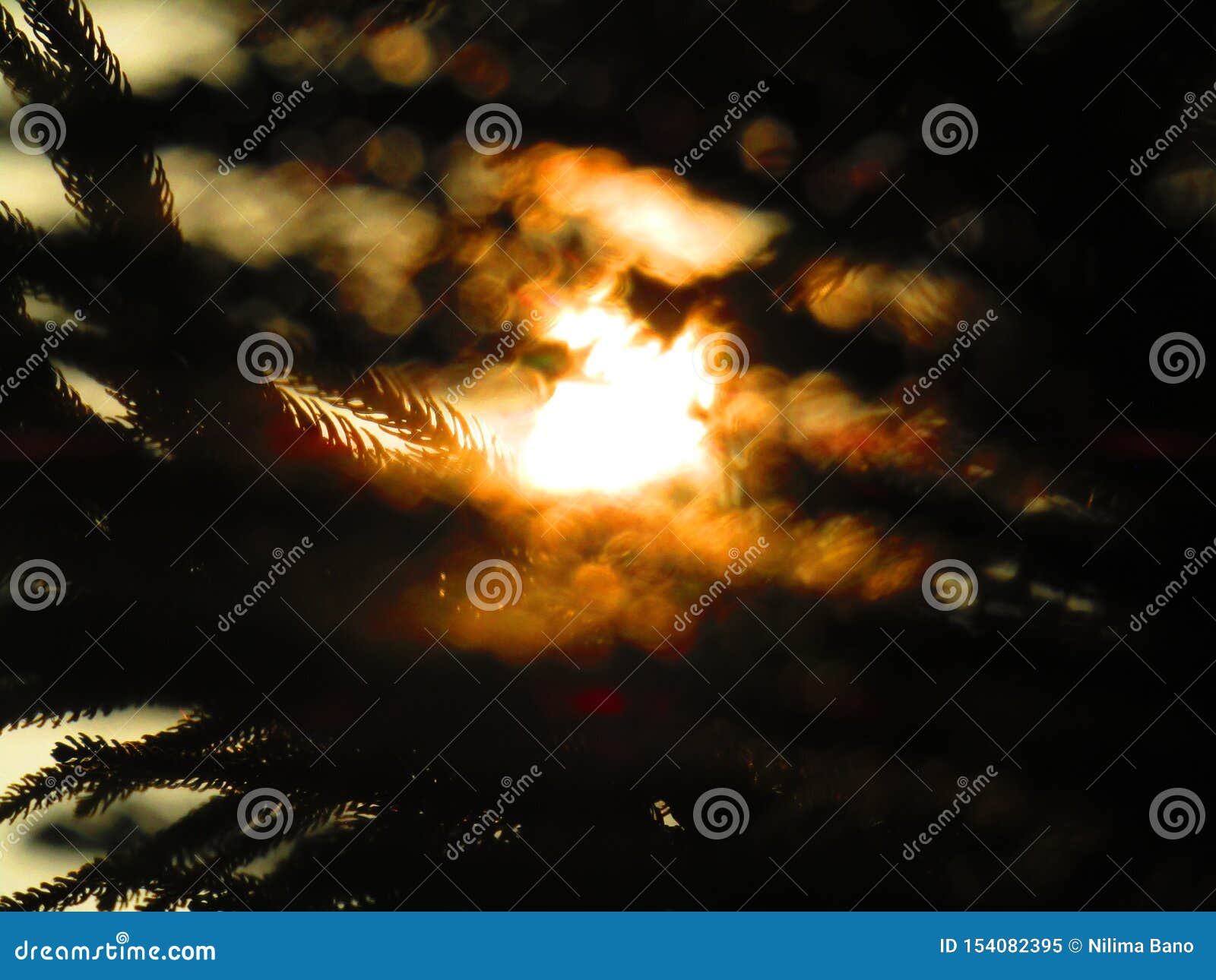 Beautiful Sunset through Trees or Leaves. Stock Image - Image of dawn ...