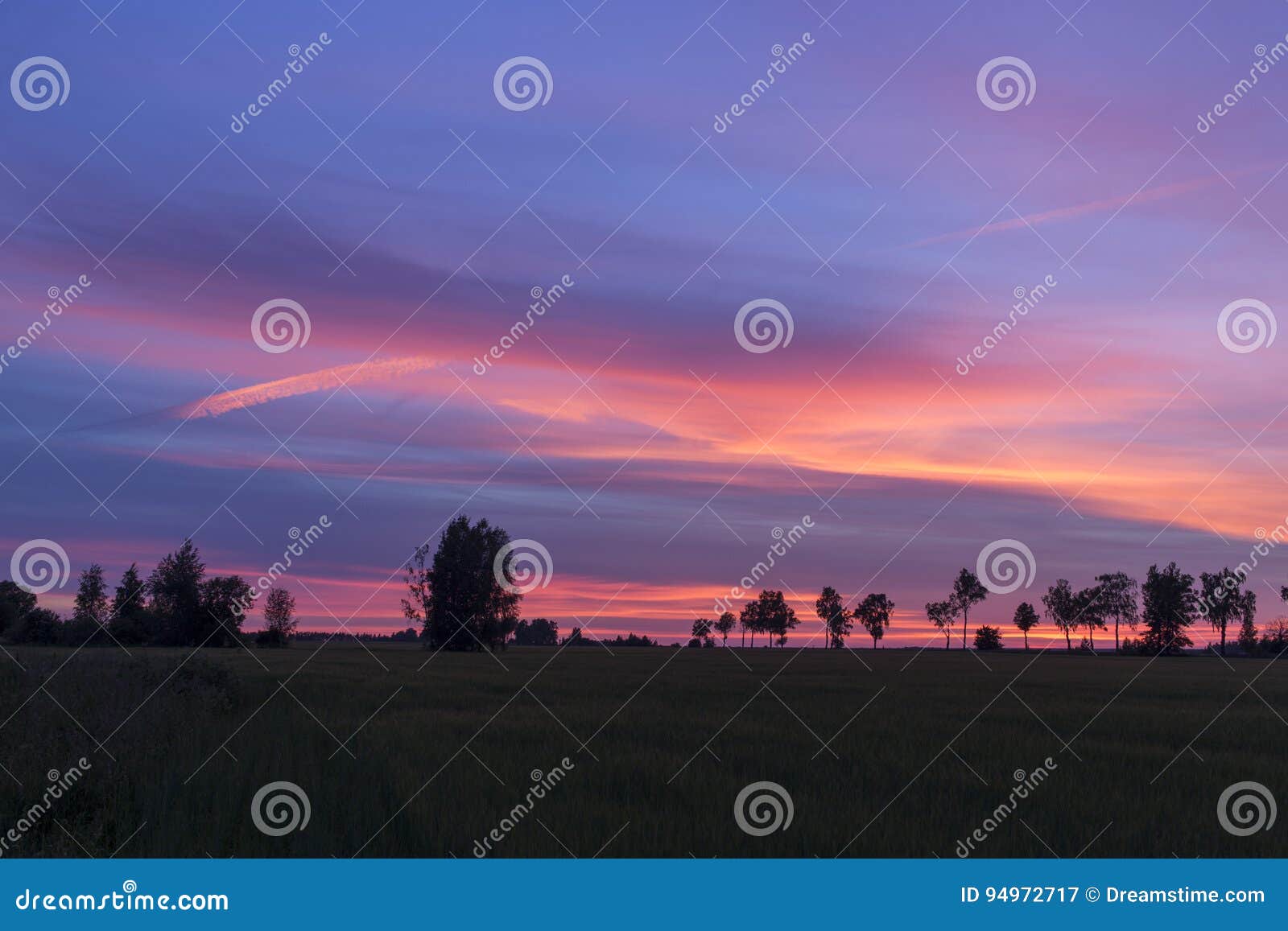 Beautiful Sunset. Trees on a Sunset in Summer Background Stock Image ...