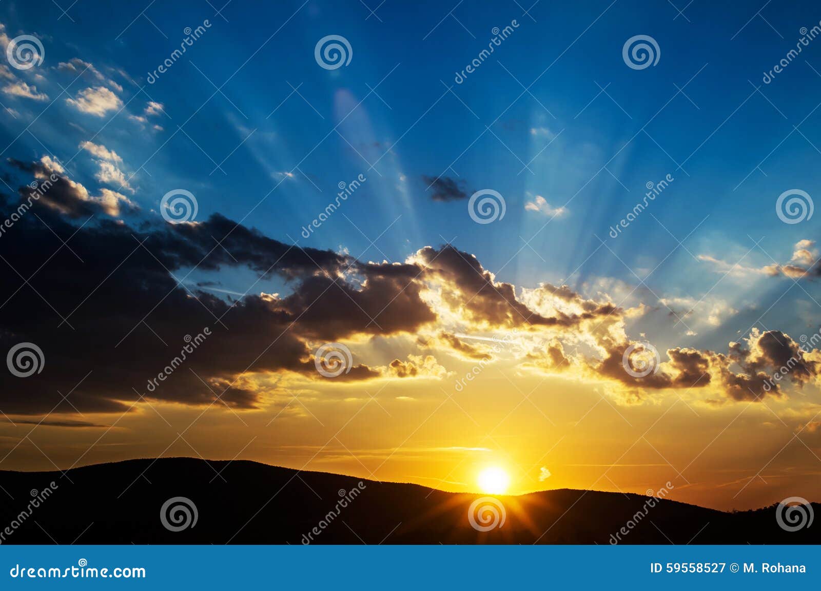 Beautiful sunset stock image. Image of nature, leaf, sunset - 59558527