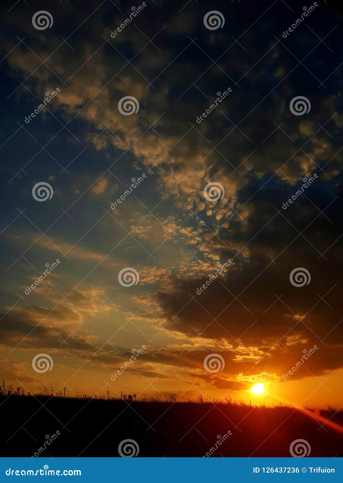 Beautiful Sunset - Vertical Composition Stock Photo - Image of ...