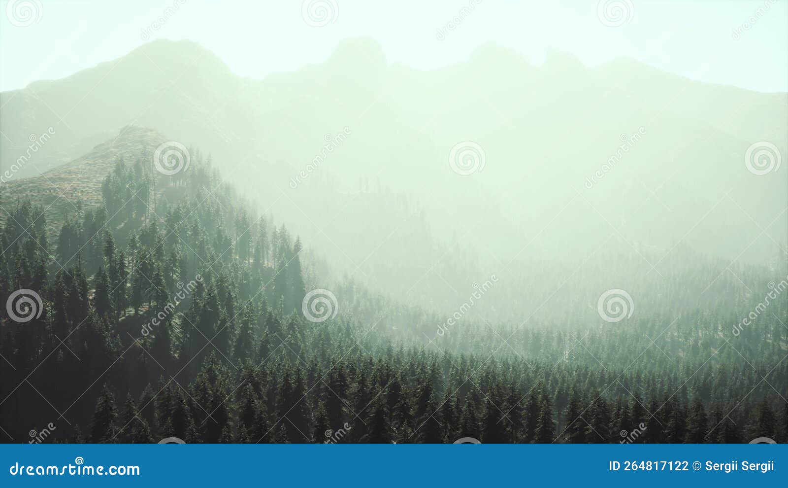 Beautiful Sunset View in Cedar Forest in Front of Sayan Mountain Range ...