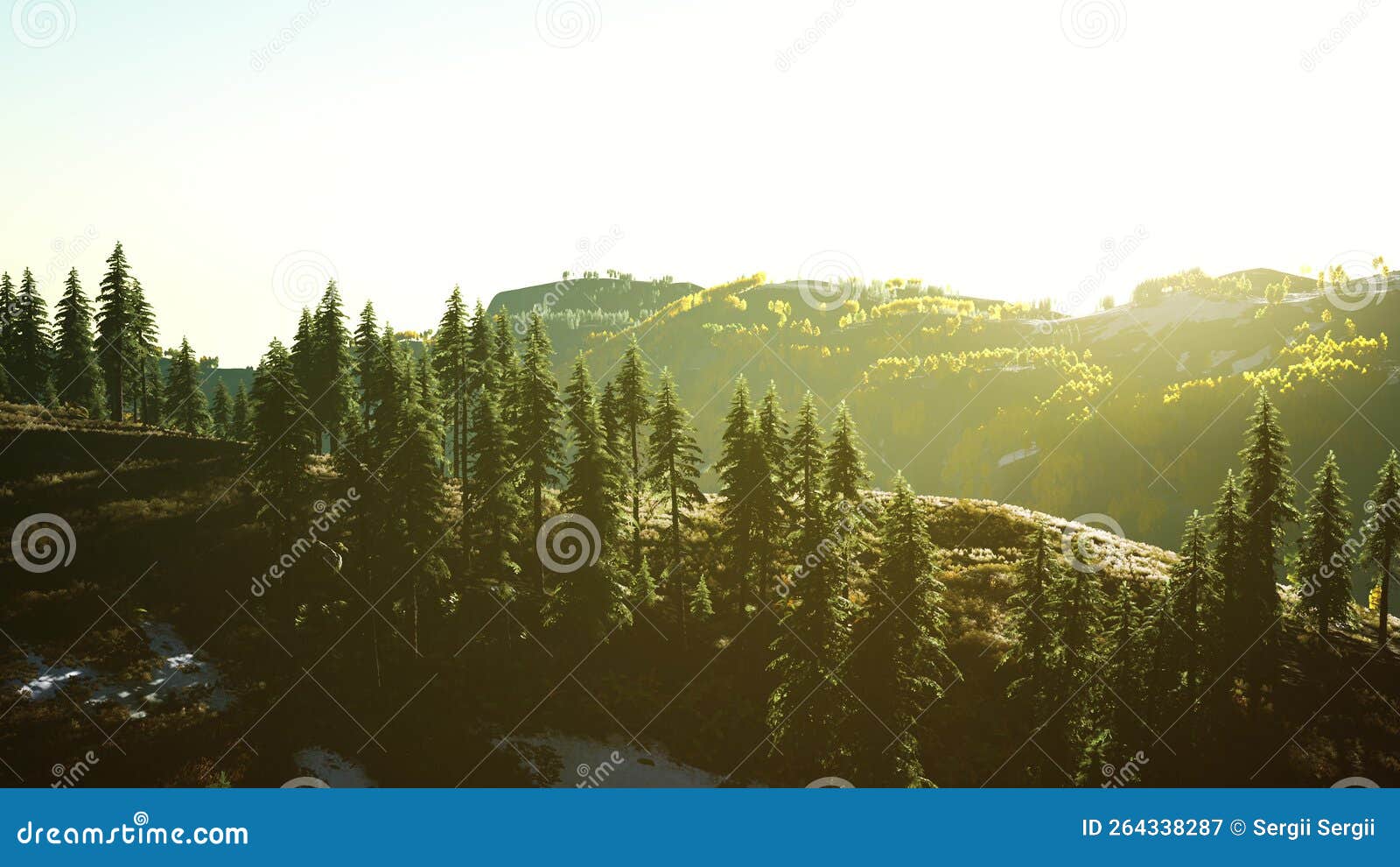 Beautiful Sunset View in Cedar Forest in Front of Sayan Mountain Range ...
