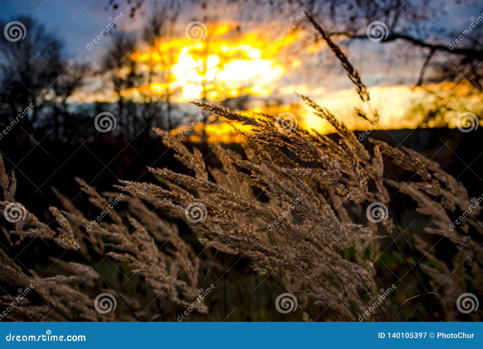 Beautiful Sunset, View through the Grass Stock Image - Image of outdoor ...