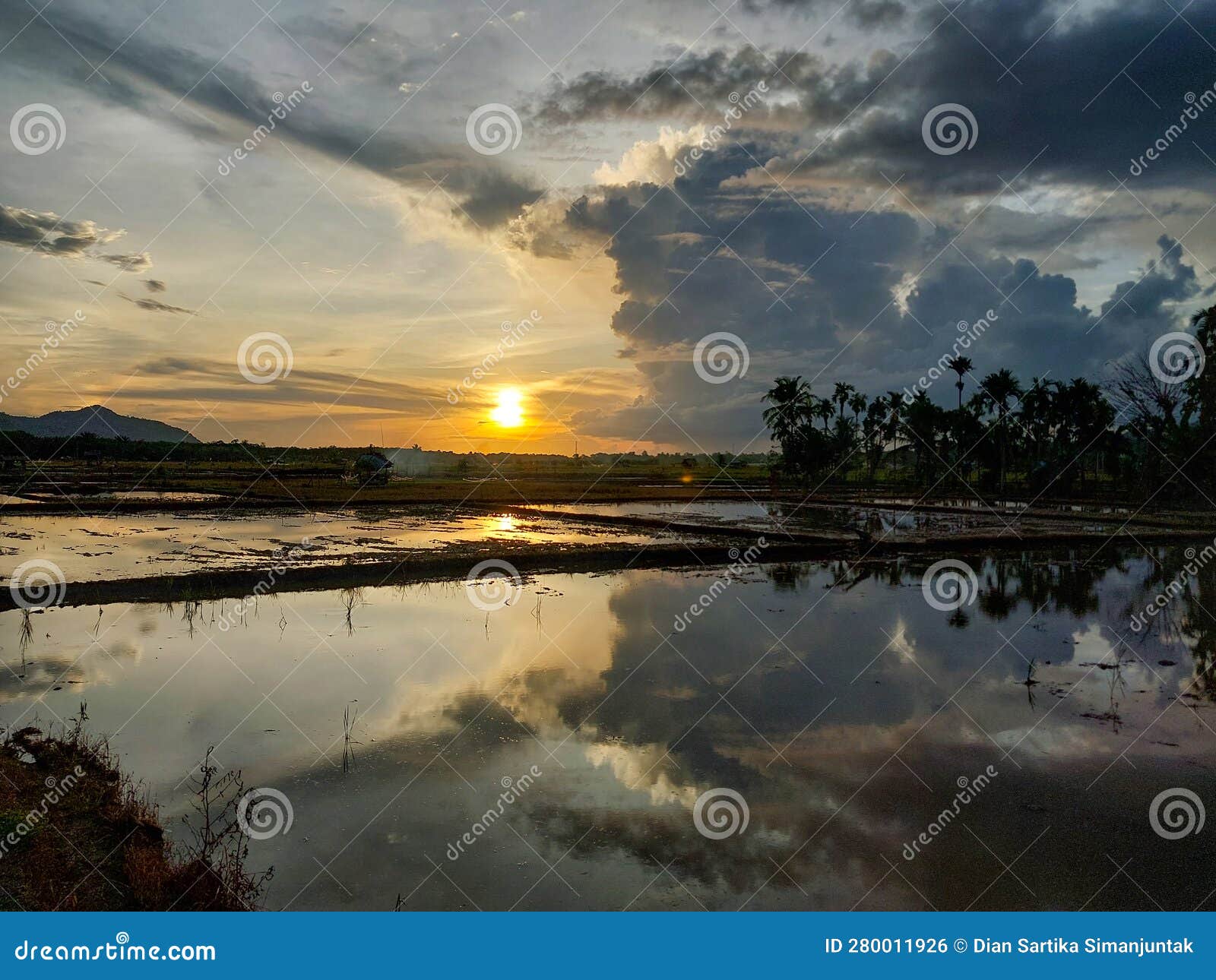 The Beautiful Sunset Views Over Unplanted Rice Fields Stock Photo ...