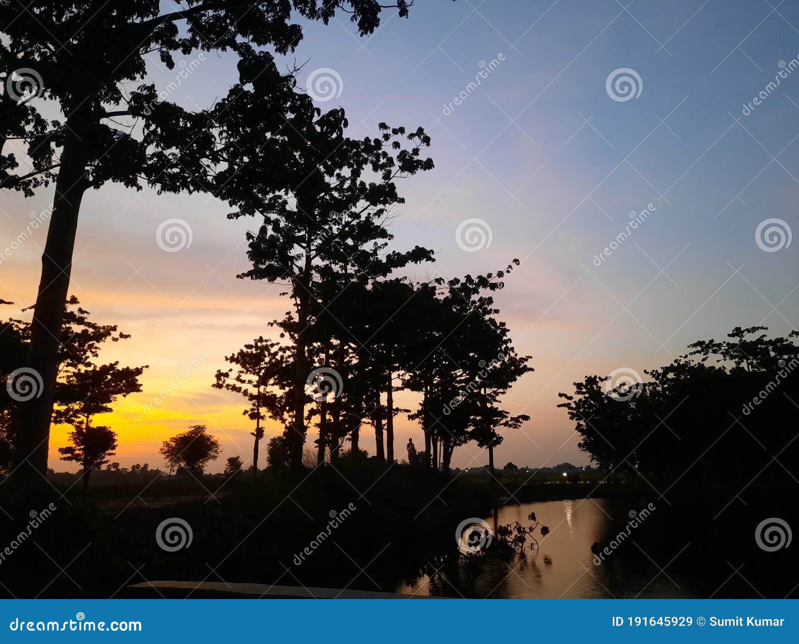Beautiful Sunset with Water Stock Image - Image of tree, scenery: 191645929