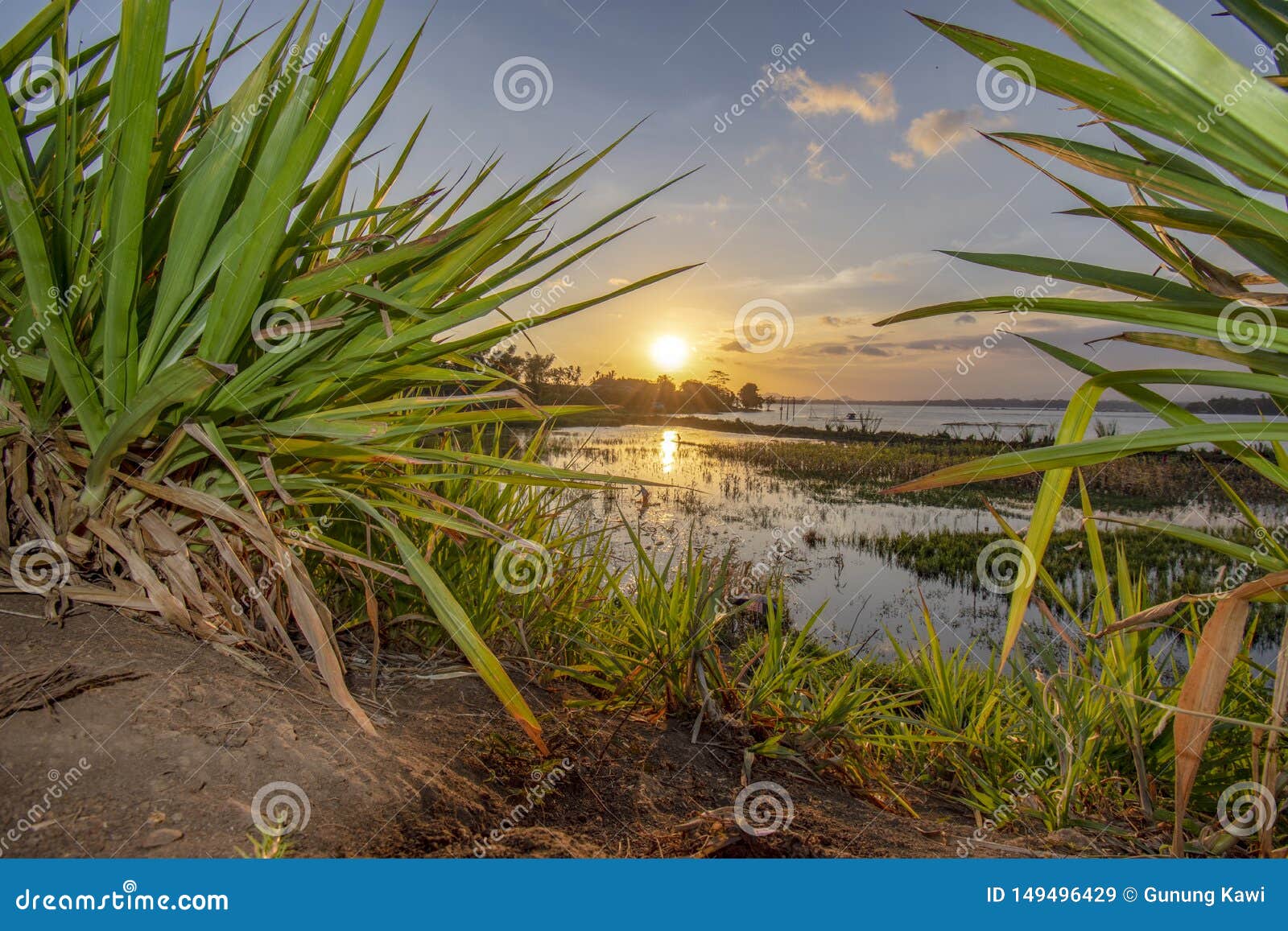 Sunsets Beautiful on the Banks of the River Indonesia in Java Stock ...