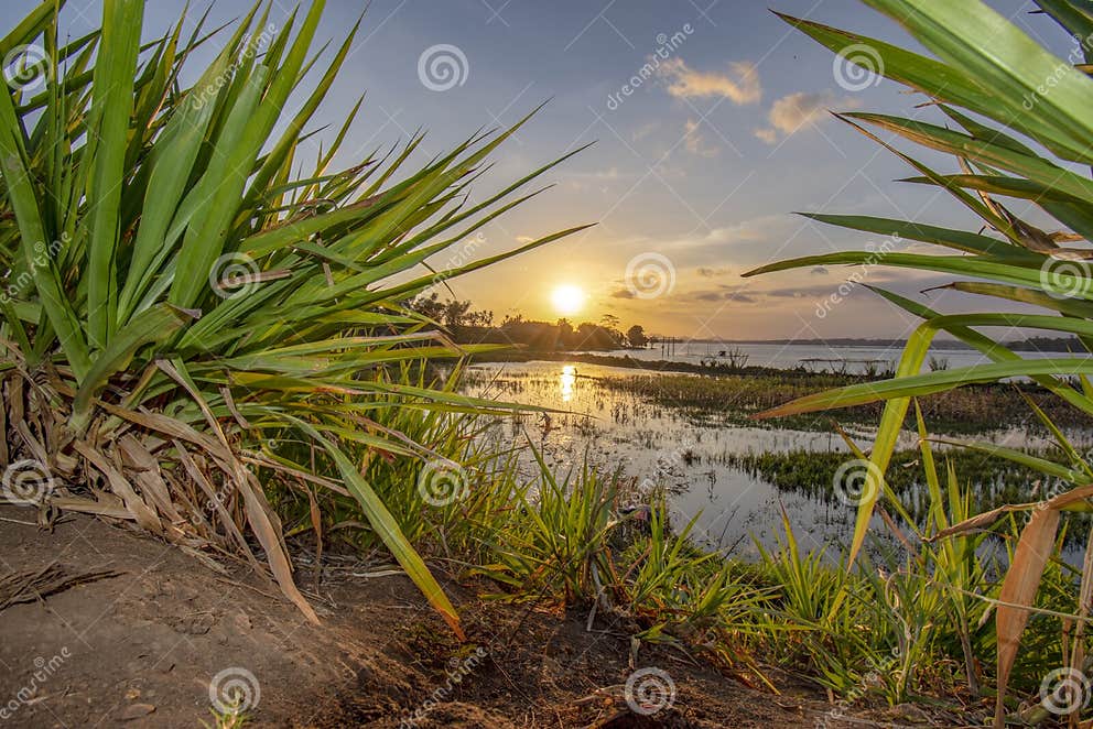 Sunsets Beautiful on the Banks of the River Indonesia in Java Stock ...