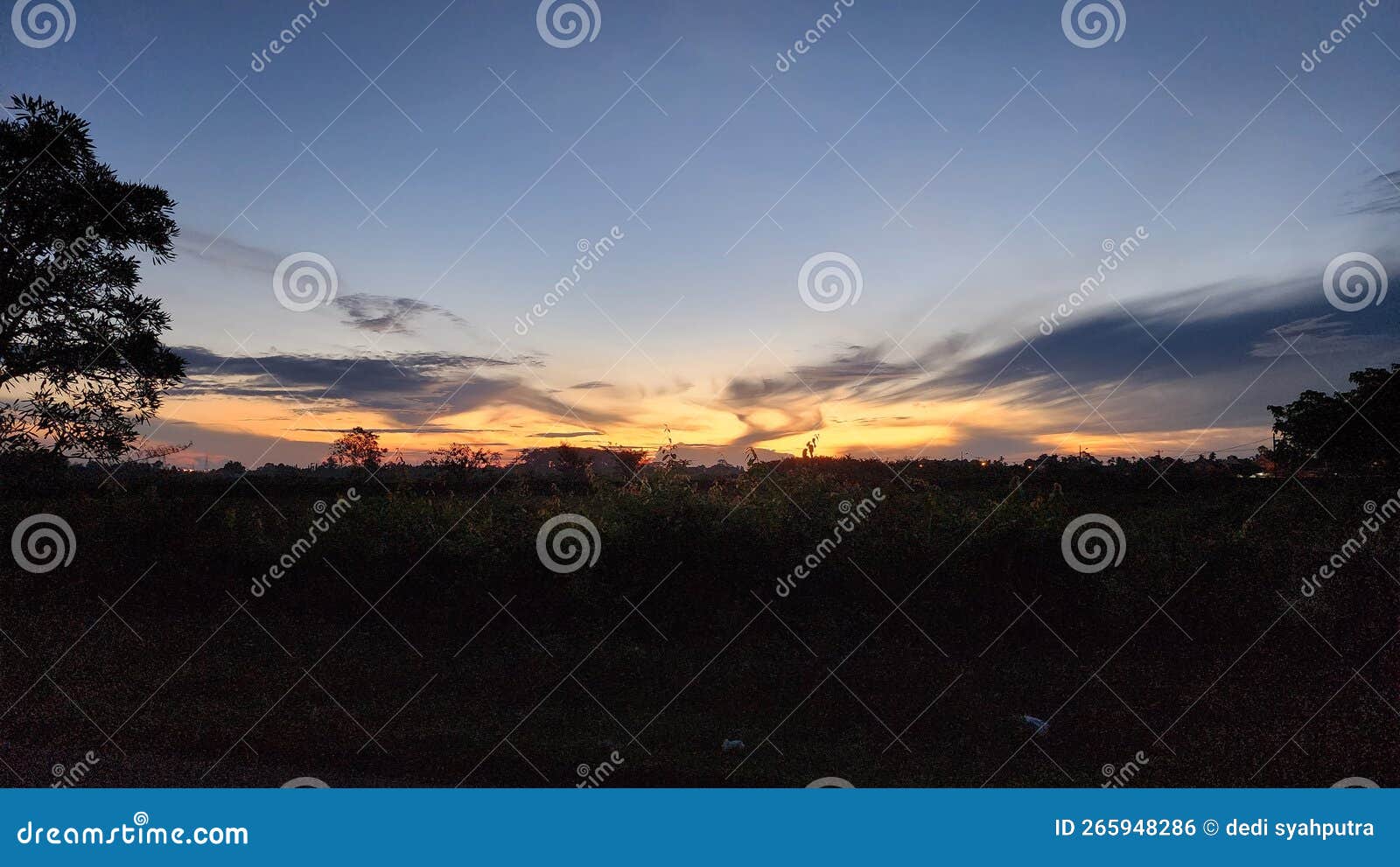 Beautiful Sunshine this Morning Stock Photo - Image of beautiful ...