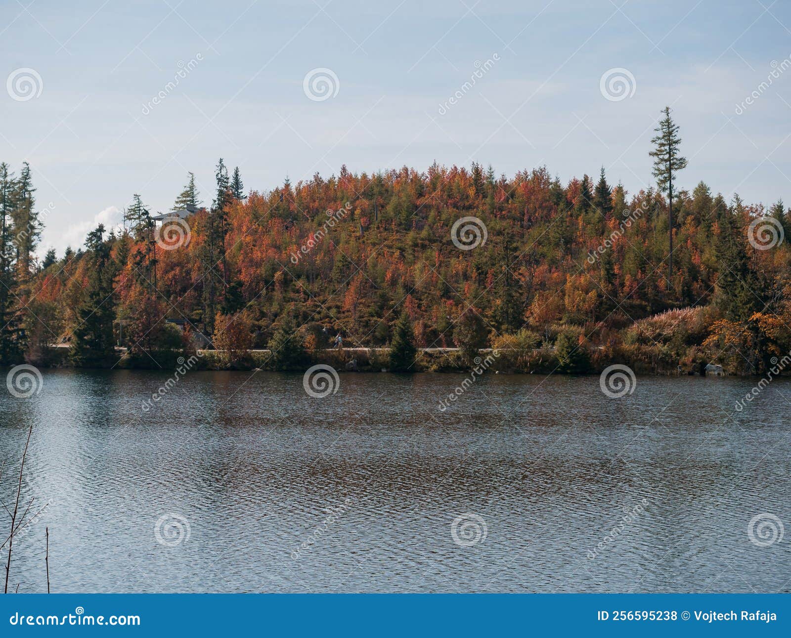 The Beautiful Surroundings of Lake Strbske Pleso Stock Photo - Image of ...
