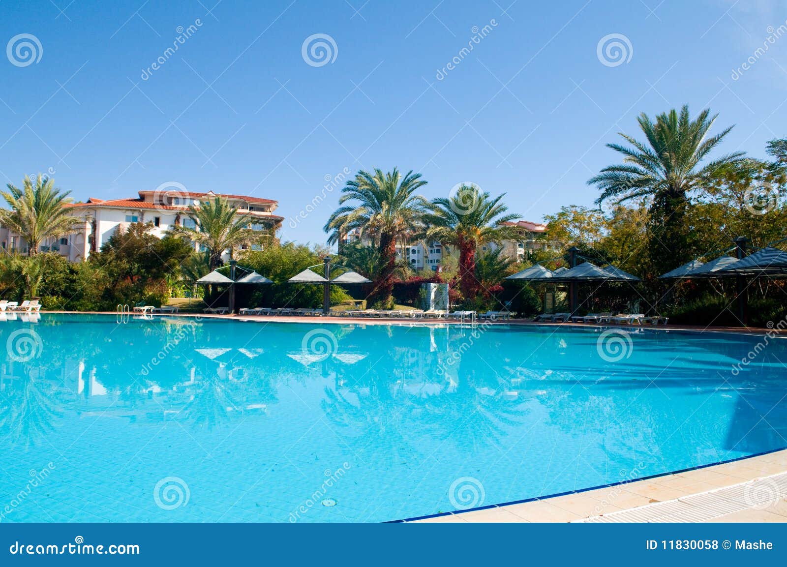 Beautiful swimming pool stock photo. Image of water, elegant - 11830058