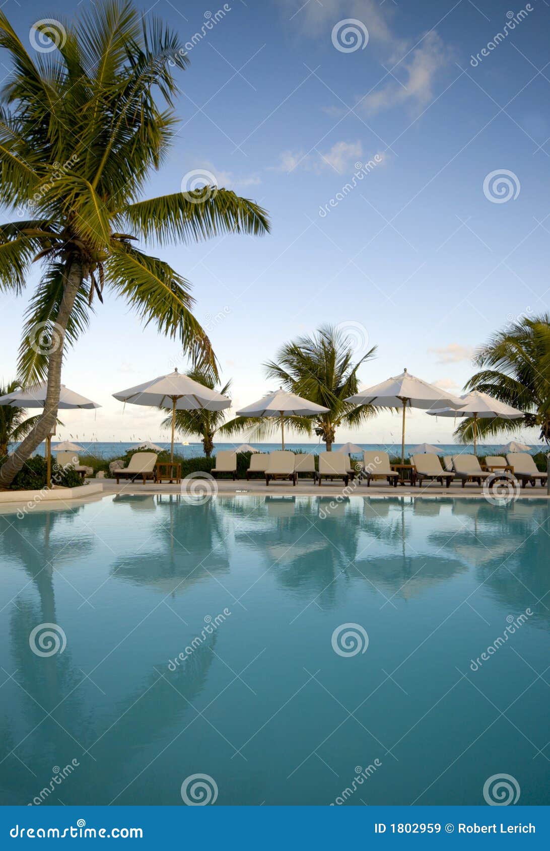 Beautiful swimming pool stock image. Image of hotel, island - 1802959