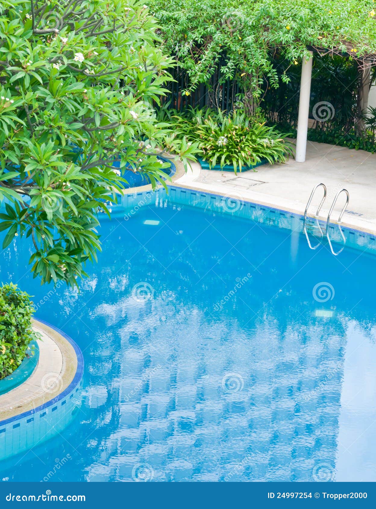 Beautiful swimming pool. stock photo. Image of refreshing - 24997254