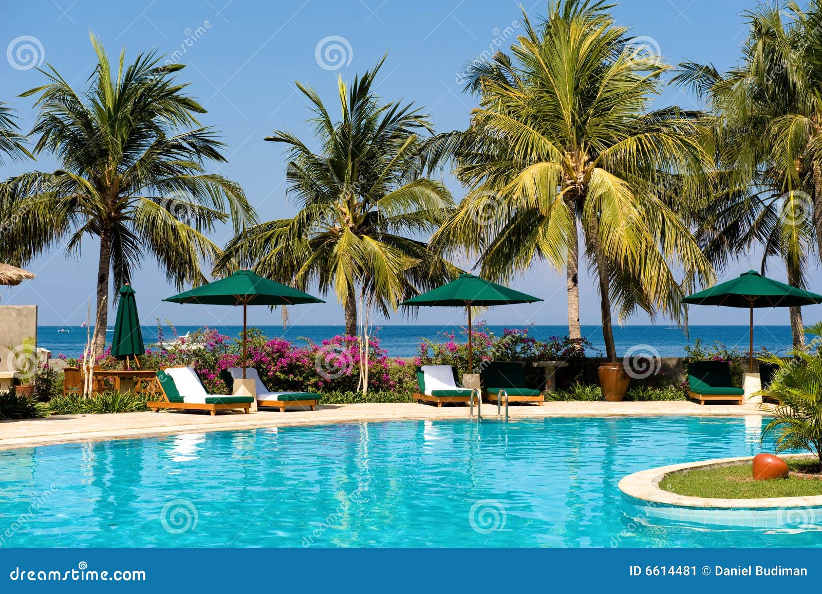 Beautiful Swimming Pool Near the Beach Stock Image - Image of hotel ...