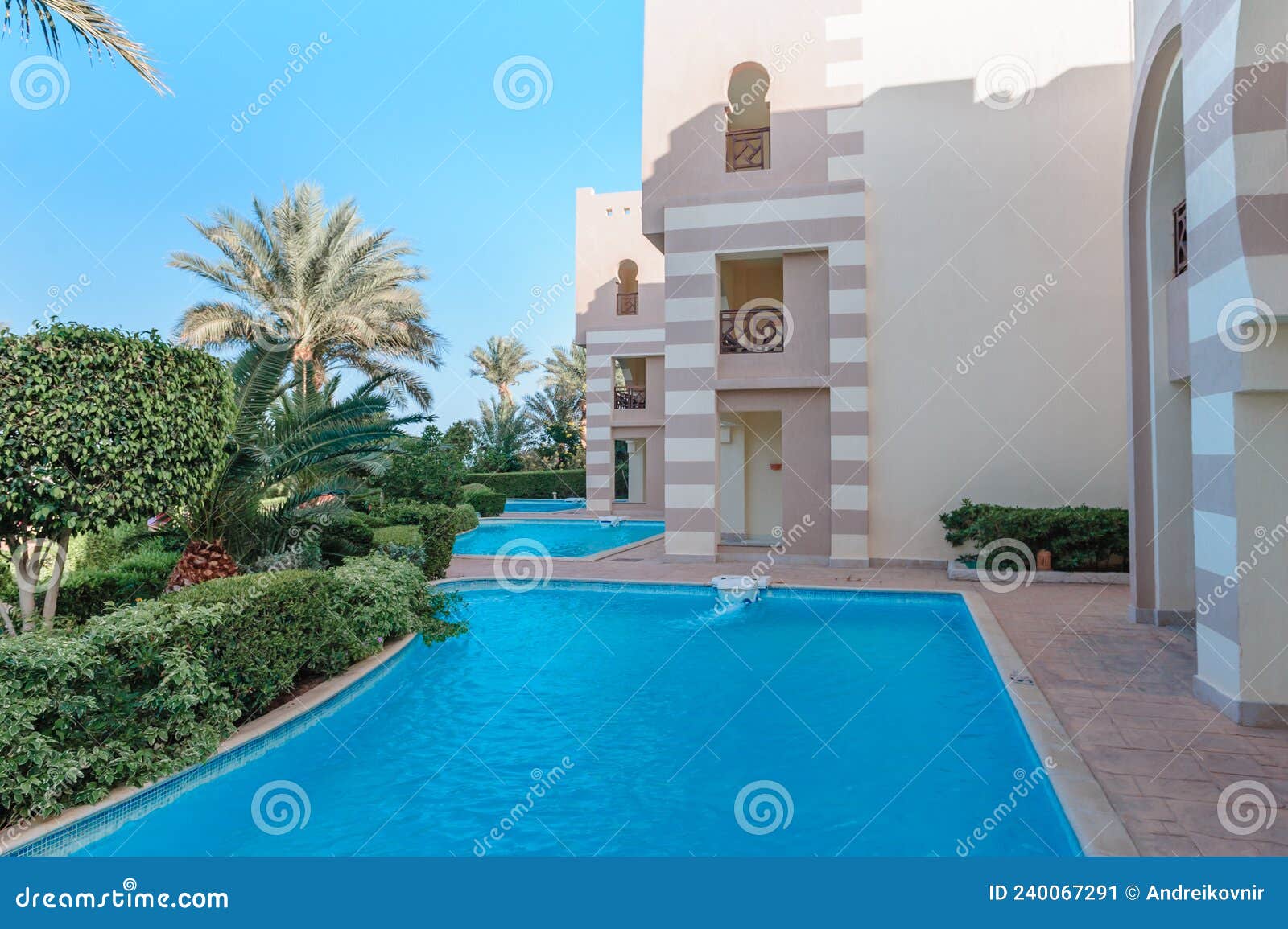 Beautiful Swimming Pool and Palm Trees in Egypt Stock Image - Image of ...