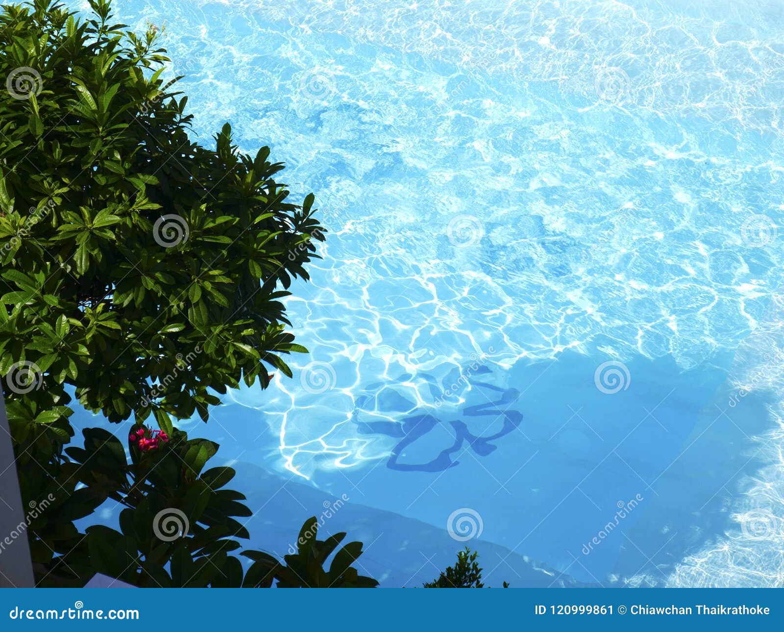 Beautiful Swimming Pool in Top View. Stock Image - Image of exotic ...