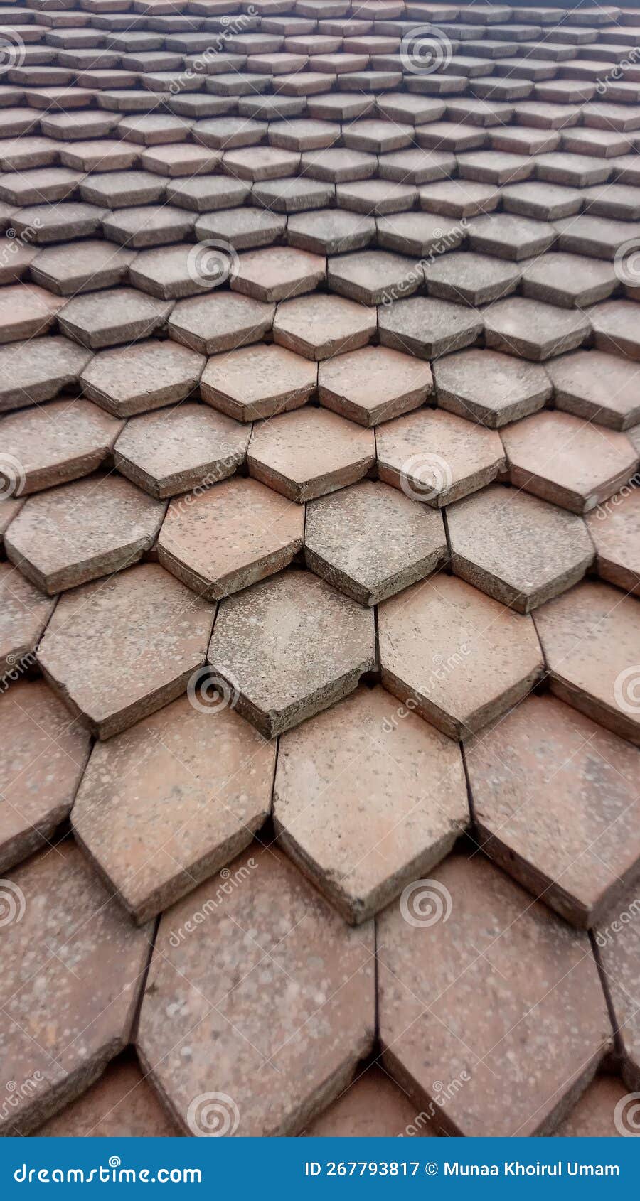 Beautiful symmetrical roof stock image. Image of roof - 267793817