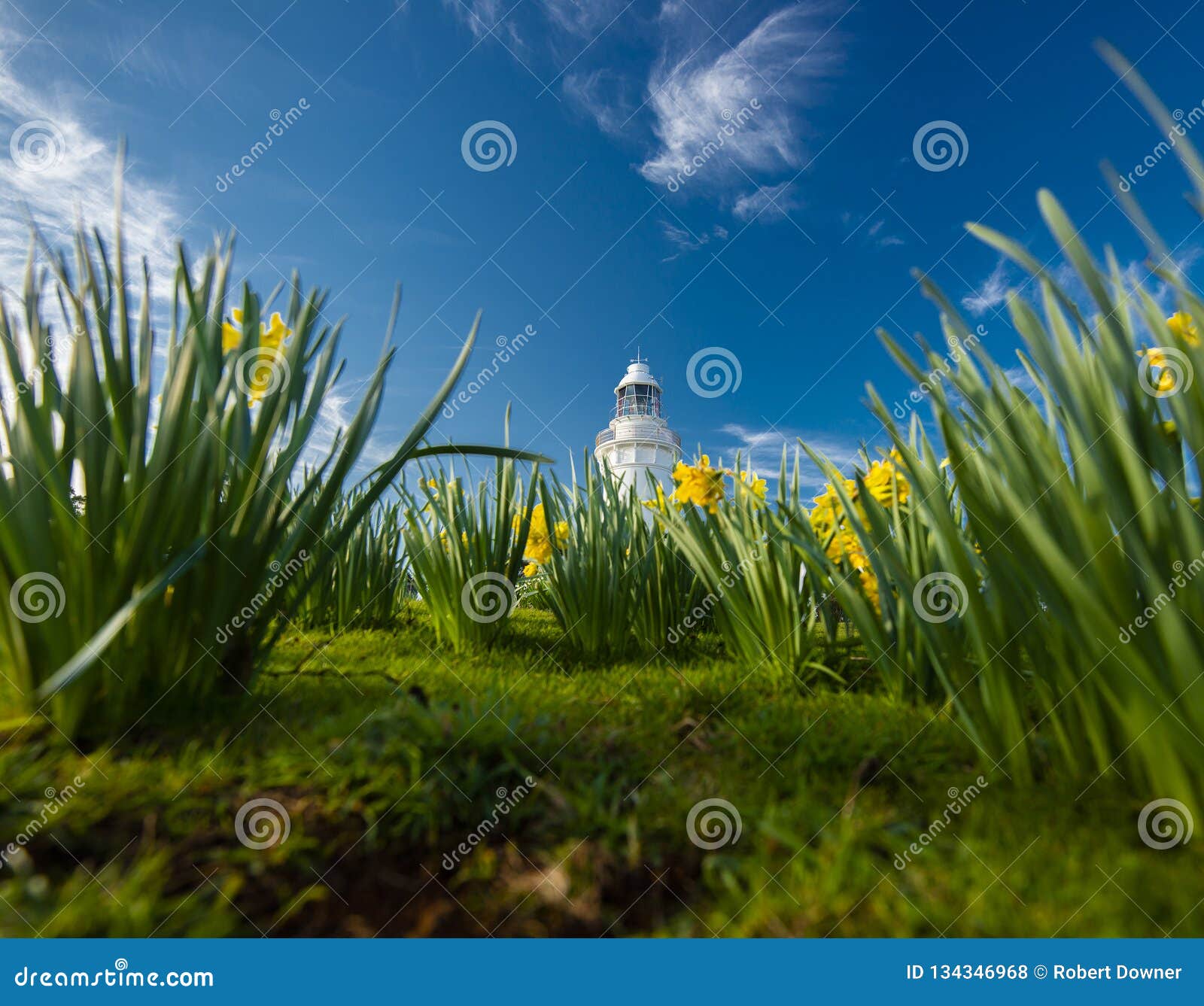 Beautiful Table Cape Lighthouse in Tasmania Stock Photo - Image of ...