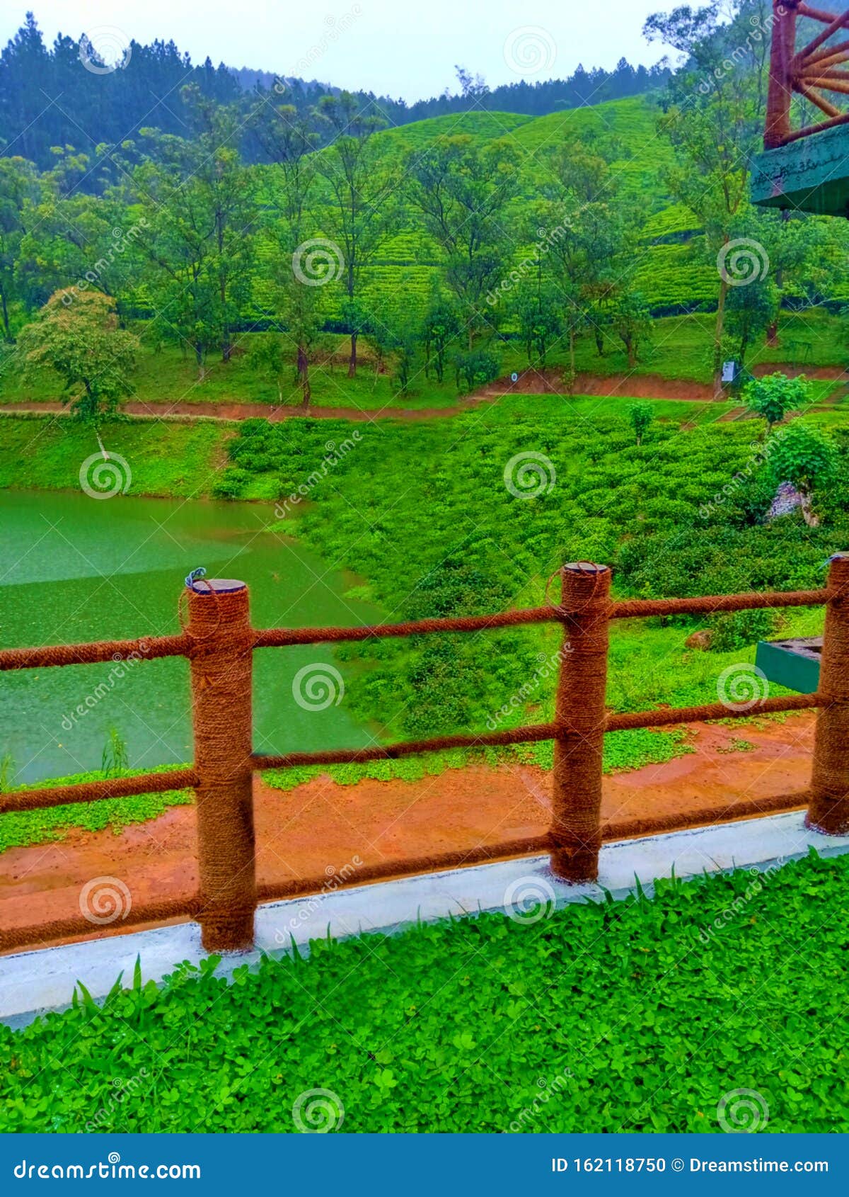 Beautiful Tea Estates in Sri Lanka Stock Photo - Image of estates ...