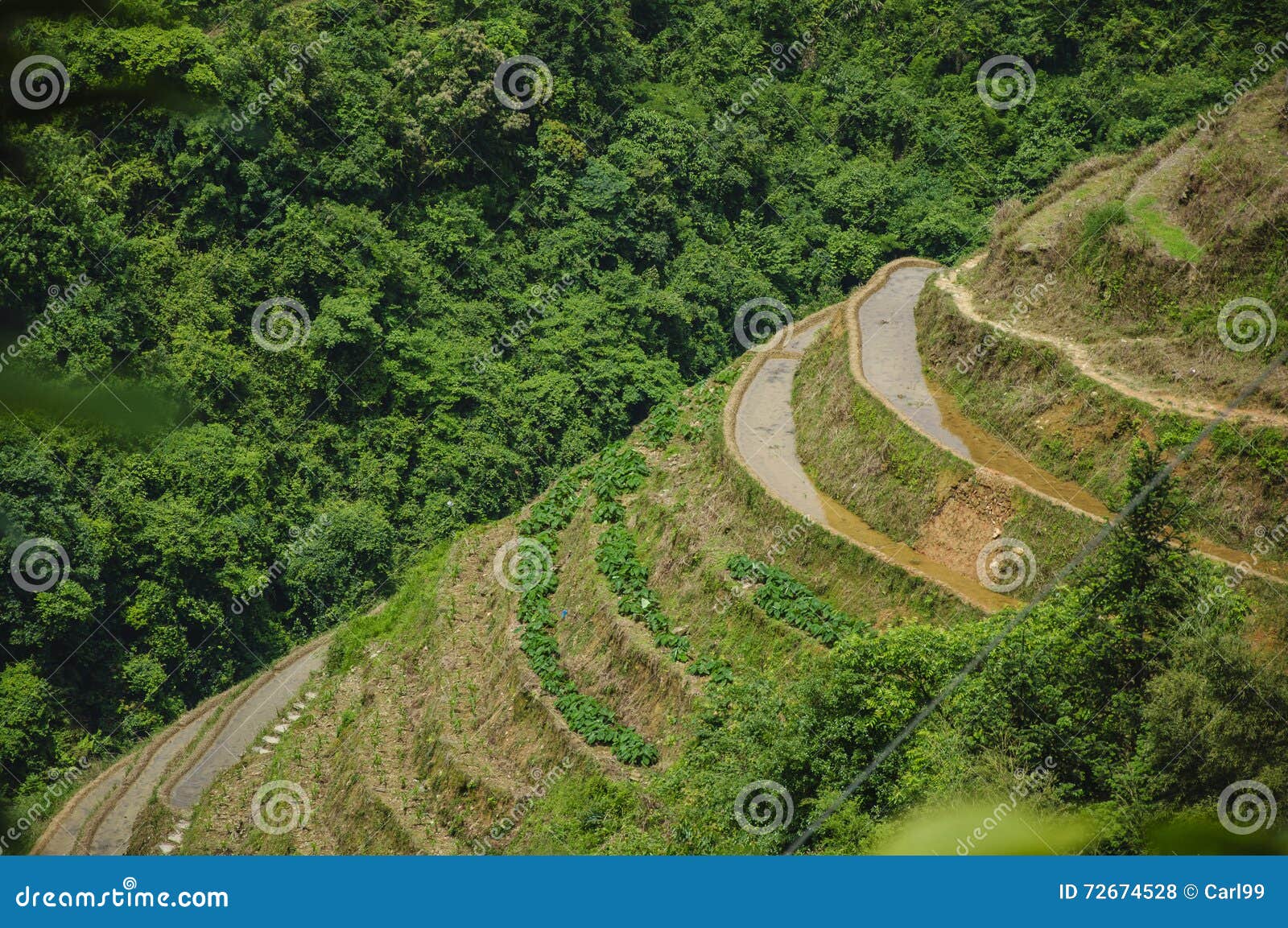 The Beautiful Terrace Fields Scenery in Spring Stock Photo - Image of ...