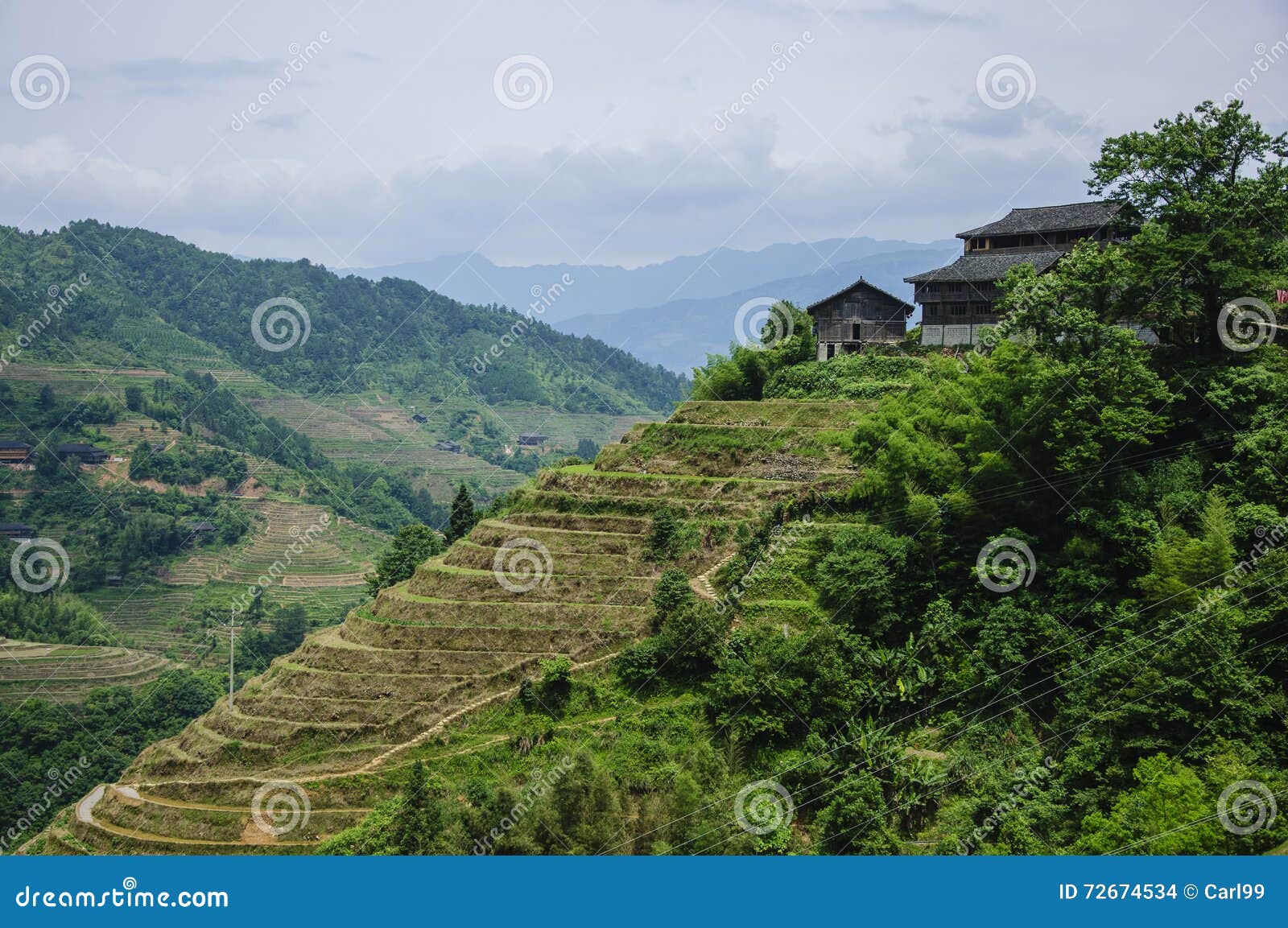 The Beautiful Terrace Fields Scenery in Spring Stock Photo - Image of ...