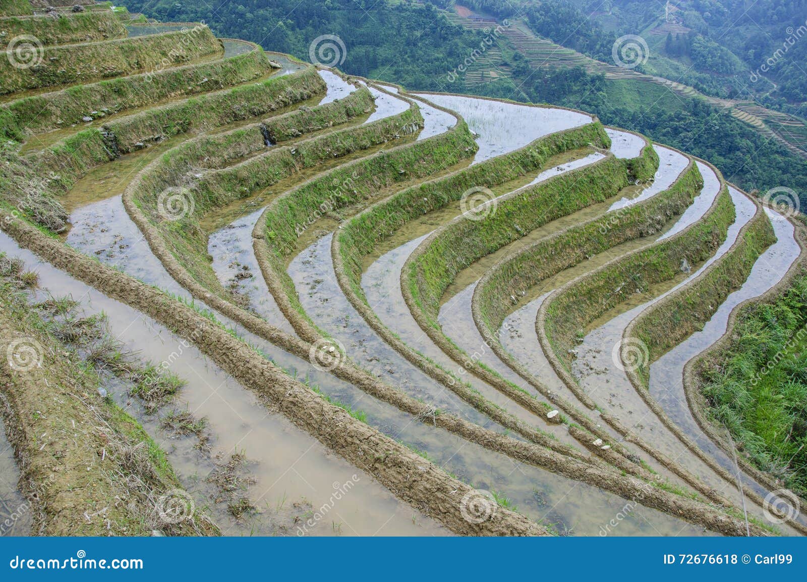 The Beautiful Terrace Fields Scenery in Spring Stock Photo - Image of ...