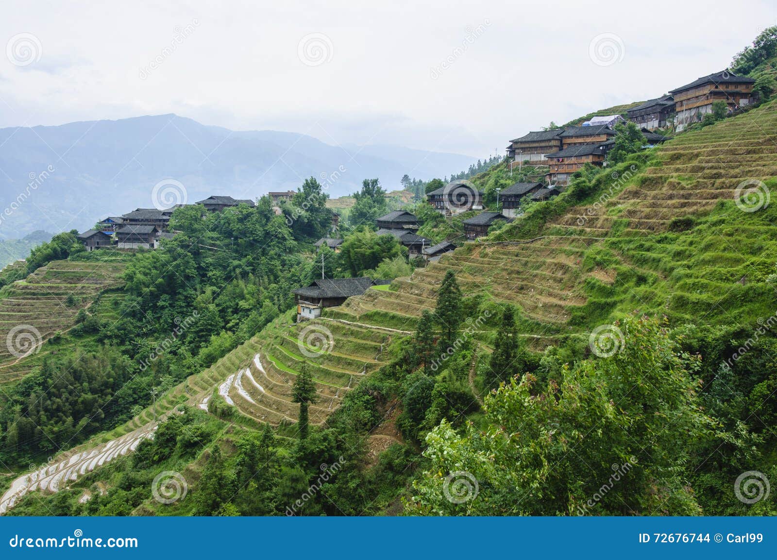 The Beautiful Terrace Fields Scenery in Spring Stock Photo - Image of ...