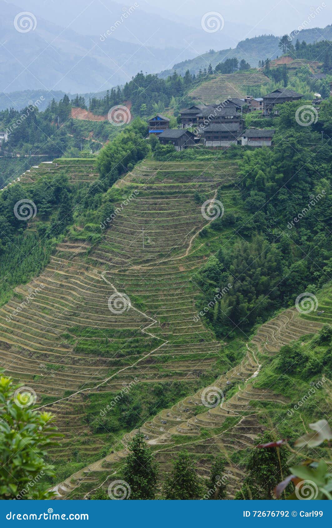 The Beautiful Terrace Fields Scenery in Spring Stock Photo - Image of ...