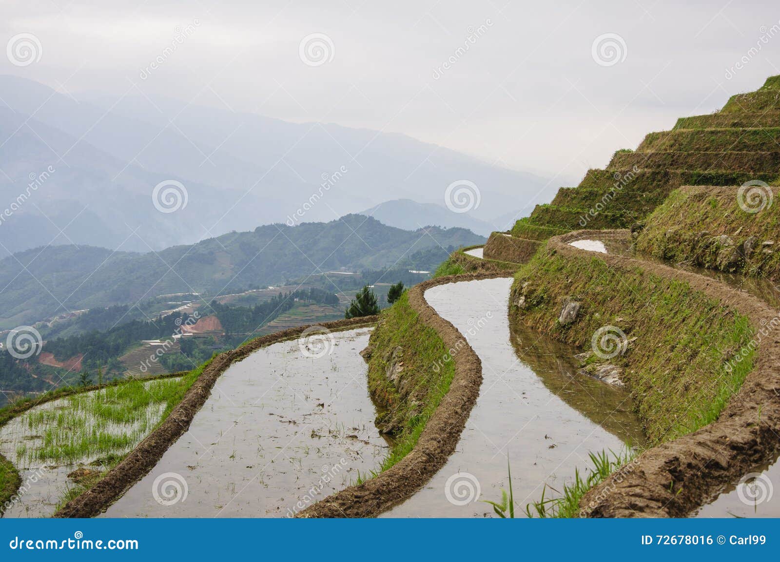 The Beautiful Terrace Fields Scenery in Spring Stock Photo - Image of ...